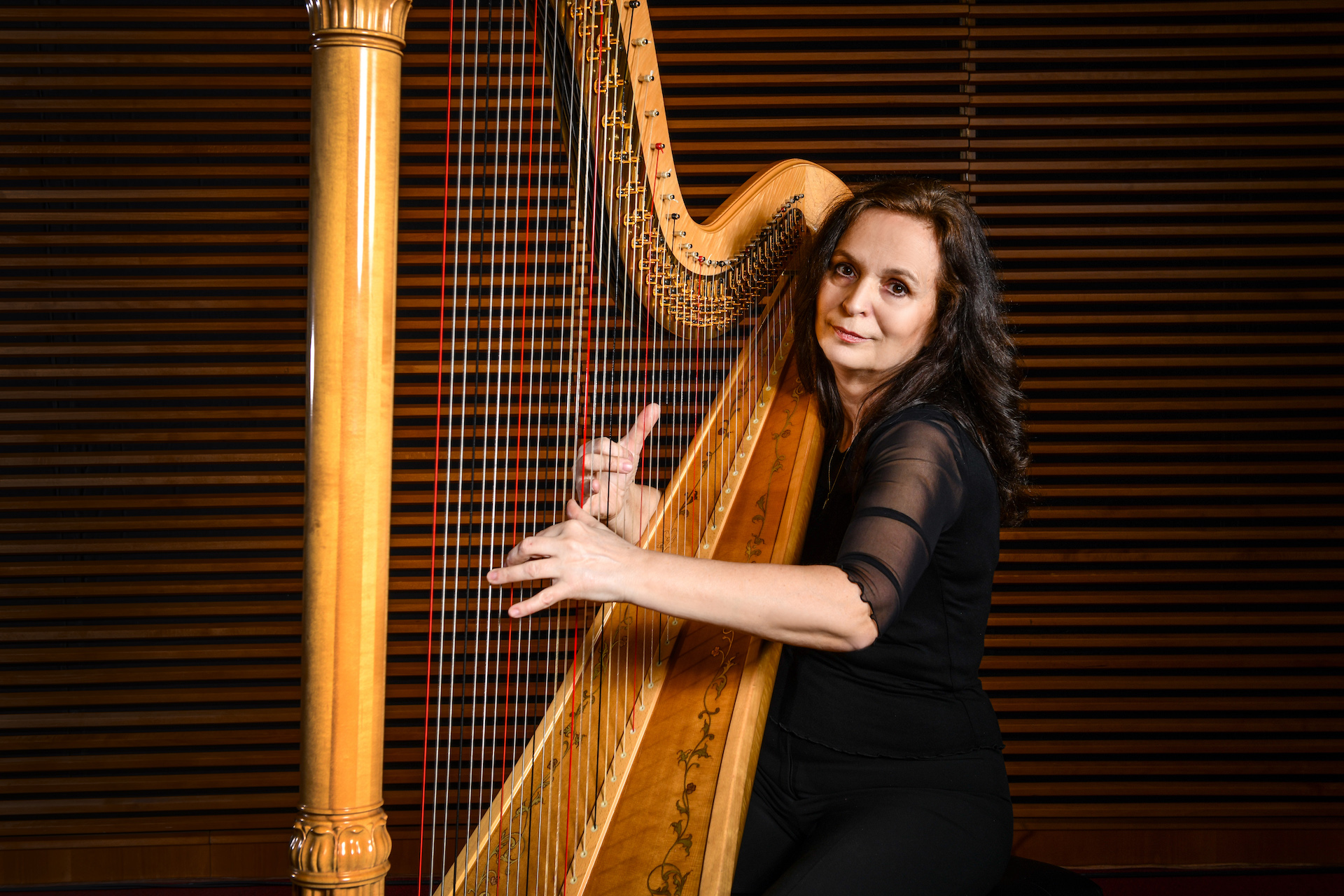 Female Voice in the Colours of 94 Strings - Moravian Philharmonic ...